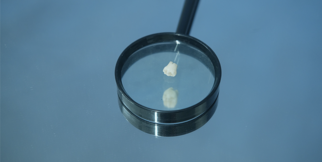 Quicksilver by Dora Ramljak - Fabrica